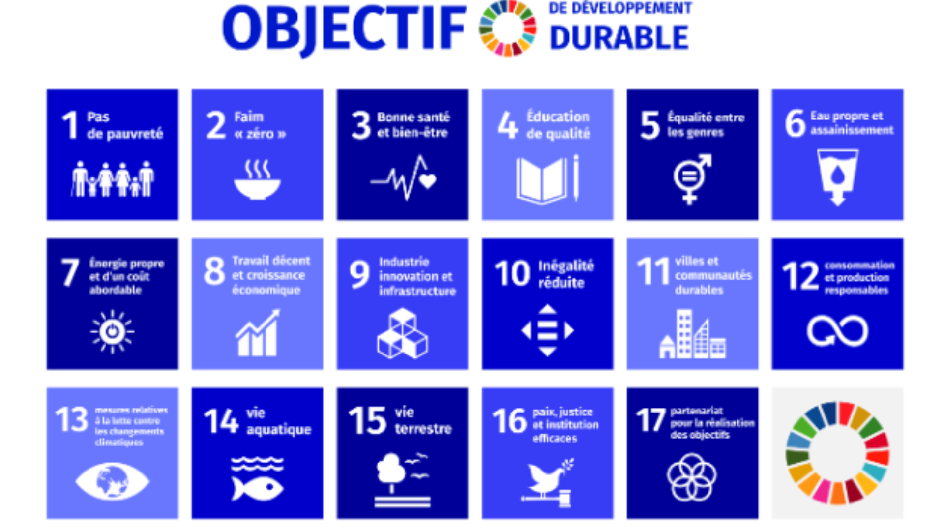 Les clés pour des achats responsables et durables